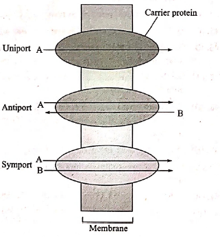 Recognise the figure and find out the correct matching.