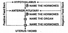 Given below is an incomplete flow chart showing influence of hormones on gametogenesis in human ...