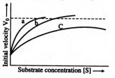 The figure given below show three velocity substrate concentration ...