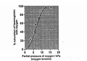 The graph shows the percentage saturation of haemoglobin with oxygen at ...