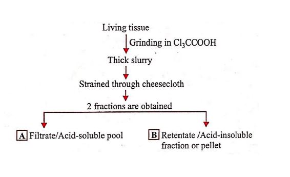 Read the given statements and select the option that correctly sorts ...