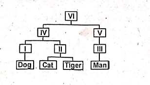 Recognise the following flow diagram and the find correct option ...