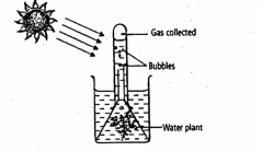 The given figure shows an experimental set-up to investigate ...