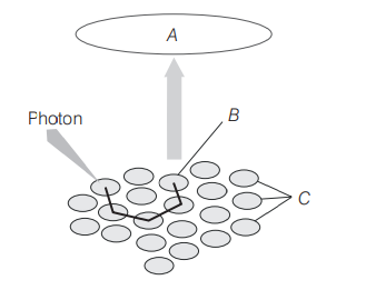 Given figure depicts the Light Harvesting Complex (LHC) of Photosystem ...