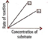 Which of the following graphs correctly indicates the reaction in ...