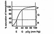 Following graph represents oxyhemoglobin dissociation curve . Point E ...