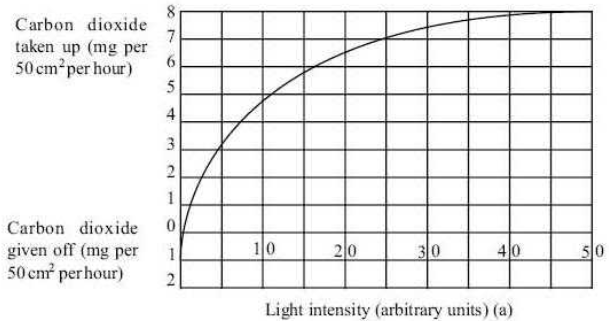 The graph shows the relation between light intensity and the giving off ...