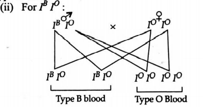 With regard to the ABO blood typing system, if a man who has type B ...