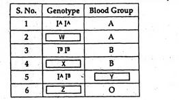 The following table shows the genotypes for ABO blood grouping and ...