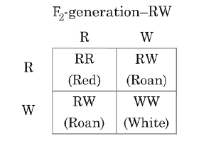 In cattle, the coat colour red and white are two dominant traits, which ...