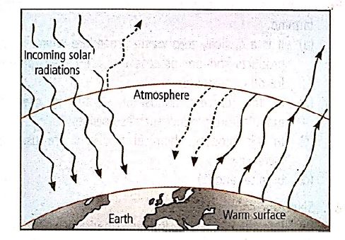 Study carefully the following figure representing greenhouse effect ...