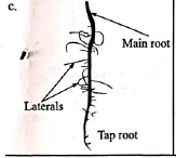 Match the columns I, II and III, and choose the correct combination ...