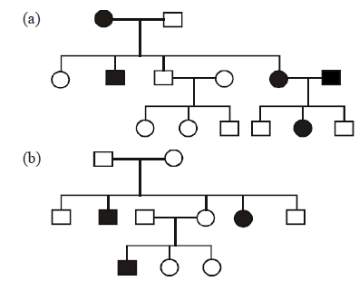Given pedigree (a) (b) shows the inheritance of a particular genetical ...