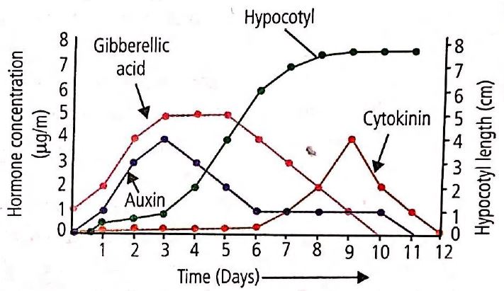 Plant hormones play a role in regulating seed germination. The graph ...