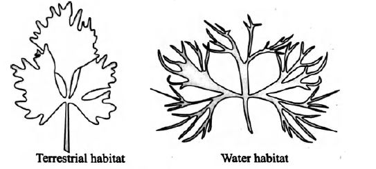The following figure shows