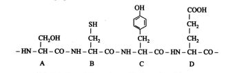The figure shows a tetrapeptide hypothetical portion of a protein with ...