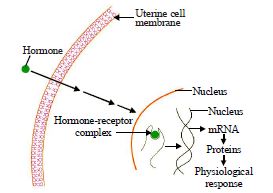 Following is a diagrammatic representation of the mechanism of hormone ...