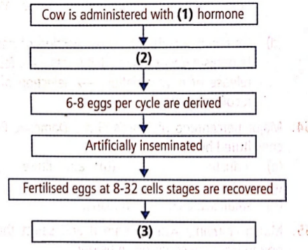Given flow chart represents different steps of MOET. Study the flow ...