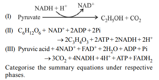 The expressions given below shows the summary equations I, II and III.