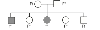 Given below is a pedigree chart of a family with five children. It ...