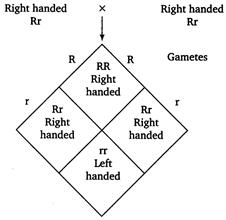Right handedness is dominant over left handedness. Most probable gene ...
