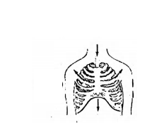 Exhalation is the process of expulsion of air through the respiratory ...