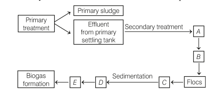 Given below is the flowchart of sewage treatment. IdentifyA, B, C, D and E and select the ...