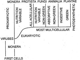 Five kingdom classification was proposed by - Tardigrade