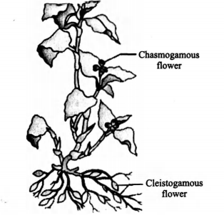 Recognise the figure and find out the correct matching