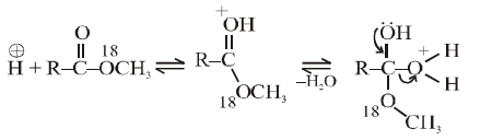 R- overset underset||OC - OH + H overset18O - CH3 xrightarrowH+ R - overset underset||OC ...