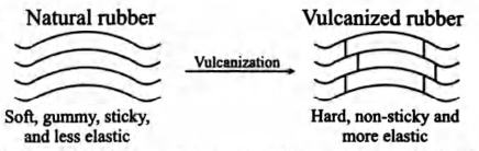 The process of vulcanisation makes rubber - Tardigrade