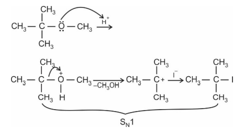 Which among the following ethers undergoes S N 1 mechanism on reaction ...