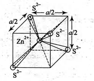 In cubic ZnS, the radii of the Zn and S atoms are 0.83 mathringA and 1. ...