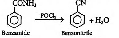 Reaction of benzamide with POCl3 yields which of the following products?