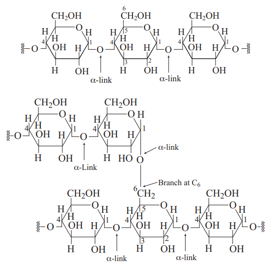Following questions are based upon above structures. Study the ...