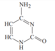 Match the following structure of base given in Column I with their name ...
