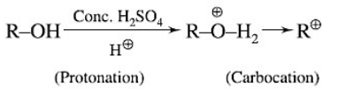 Dehydration of alcohol to alkene by heating with conc. H2SO4 , the ...
