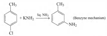 In the reaction of p-chlorotoluene with KNH2 in liq. NH3, the major ...