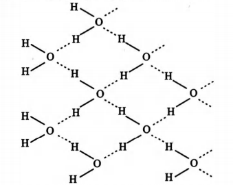 The maximum number of hydrogen bonds formed by a water molecule in ice is