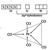 The correct structure of Fe ( CO )5 is - Tardigrade