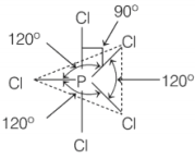 The number of 120°, Cl -P-Cl angles in phosphorus pentachloride are