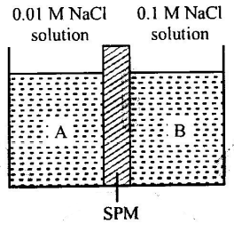Two solutions marked as A and B are separated through semipermeable ...