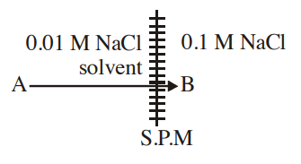 Two solutions marked as A and B are separated through semipermeable ...