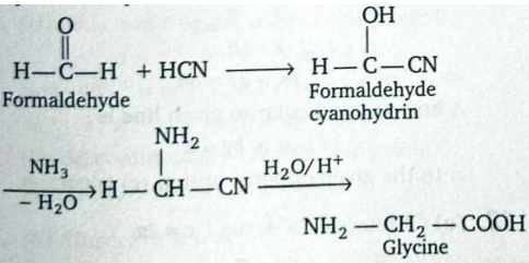 Glycine can be obtained from formaldehyde by - Tardigrade
