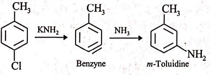 In the reaction of p -chlorotoluene with KNH 2 in liq. NH 3, the major ...
