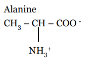 Alanine in acid medium appears as - Tardigrade