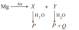 What happens when magnesium is burnt in air and the products X and Y ...