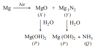 What happens when magnesium is burnt in air and the products X and Y ...