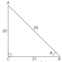 Let ACB be a triangle with right-angle at C. Let AB =29 units, B C=21 ...