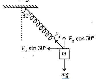 A spring balance carries a load. When the load is pulled aside so that ...